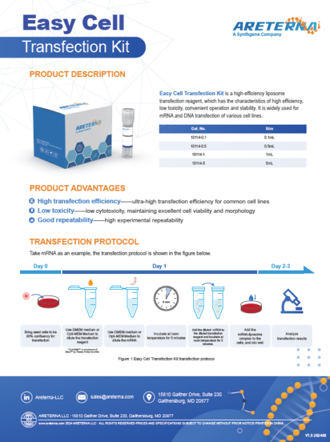 Brochures and Data Flyers - Areterna
